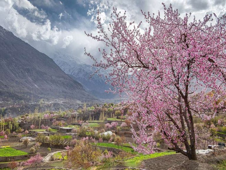 Hunza & Swat Valley Tour – Indus Holidays | Lahore, Pakistan